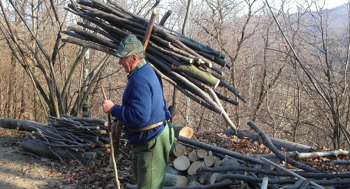I lavori dell'inverno: far legna nei boschi, spalare la neve ...