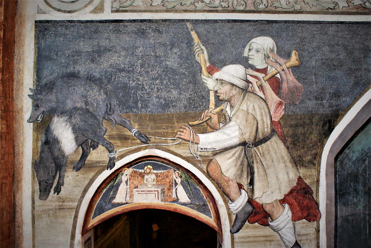 "Hic sunt Viperae": alla scoperta degli animali a Sant’Antonio di ...
