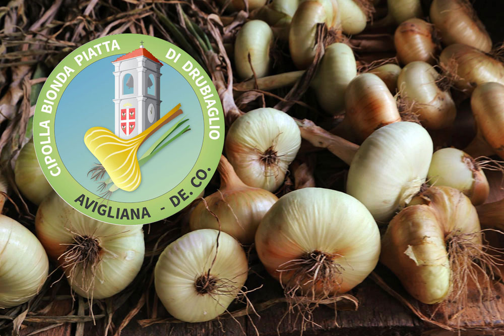La cipolla bionda piatta di Drubiaglio: dolce e delicata, deve il suo ...