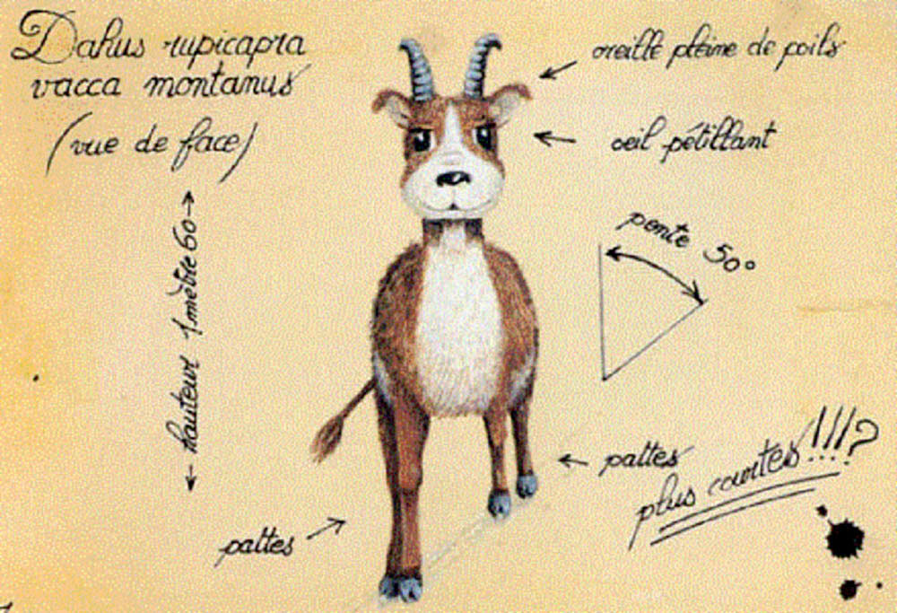 La leggenda del Dahu, l'animale che ha le zampe asimmetriche ...